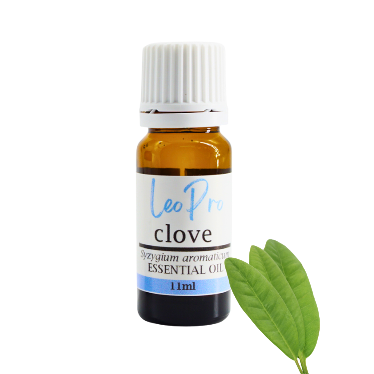 Clove Leaf Essential Oil 11ml - Syzygium Aromaticum