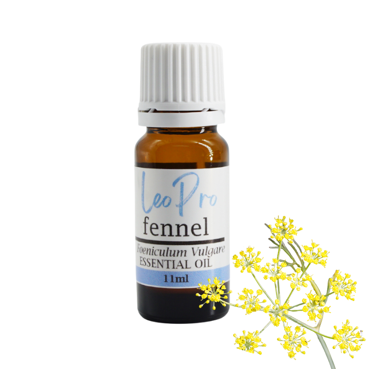 Fennel Essential Oil 11ml - Foeniculum Vulgare