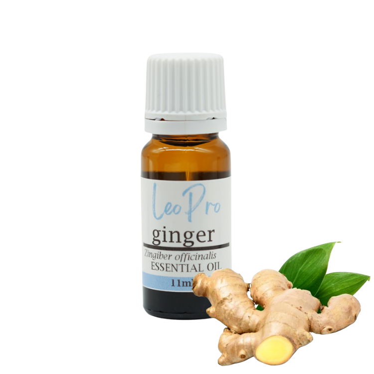 Ginger Oil 11ml - Zingiber Officinale