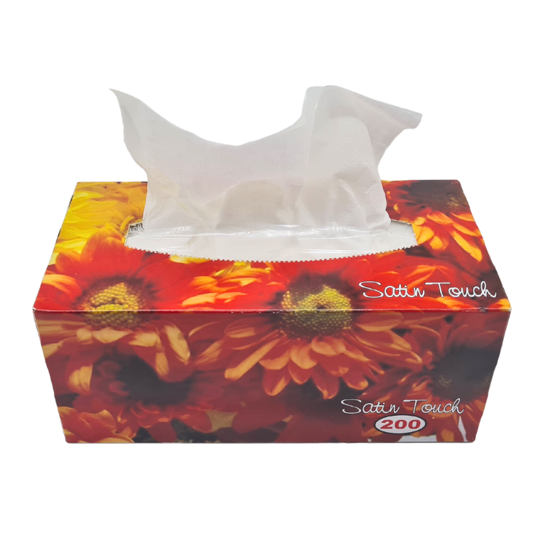 Facial Tissues 200's